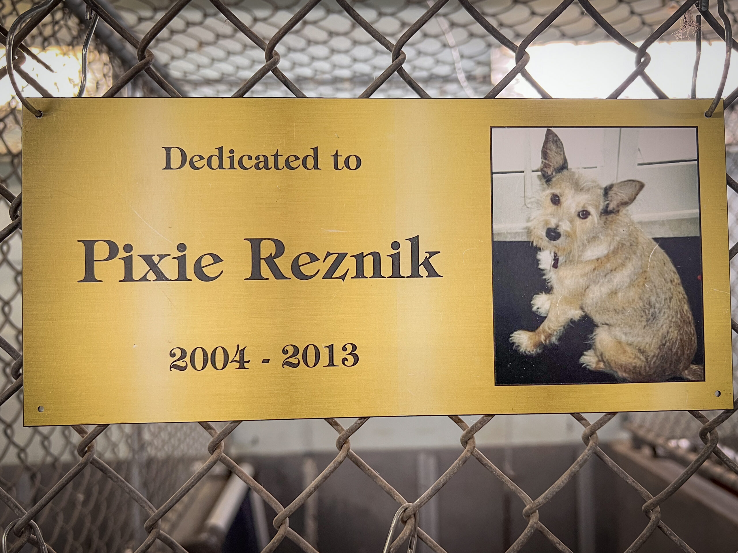 Lifetime Kennel Plaques - Animal Shelter Foundation