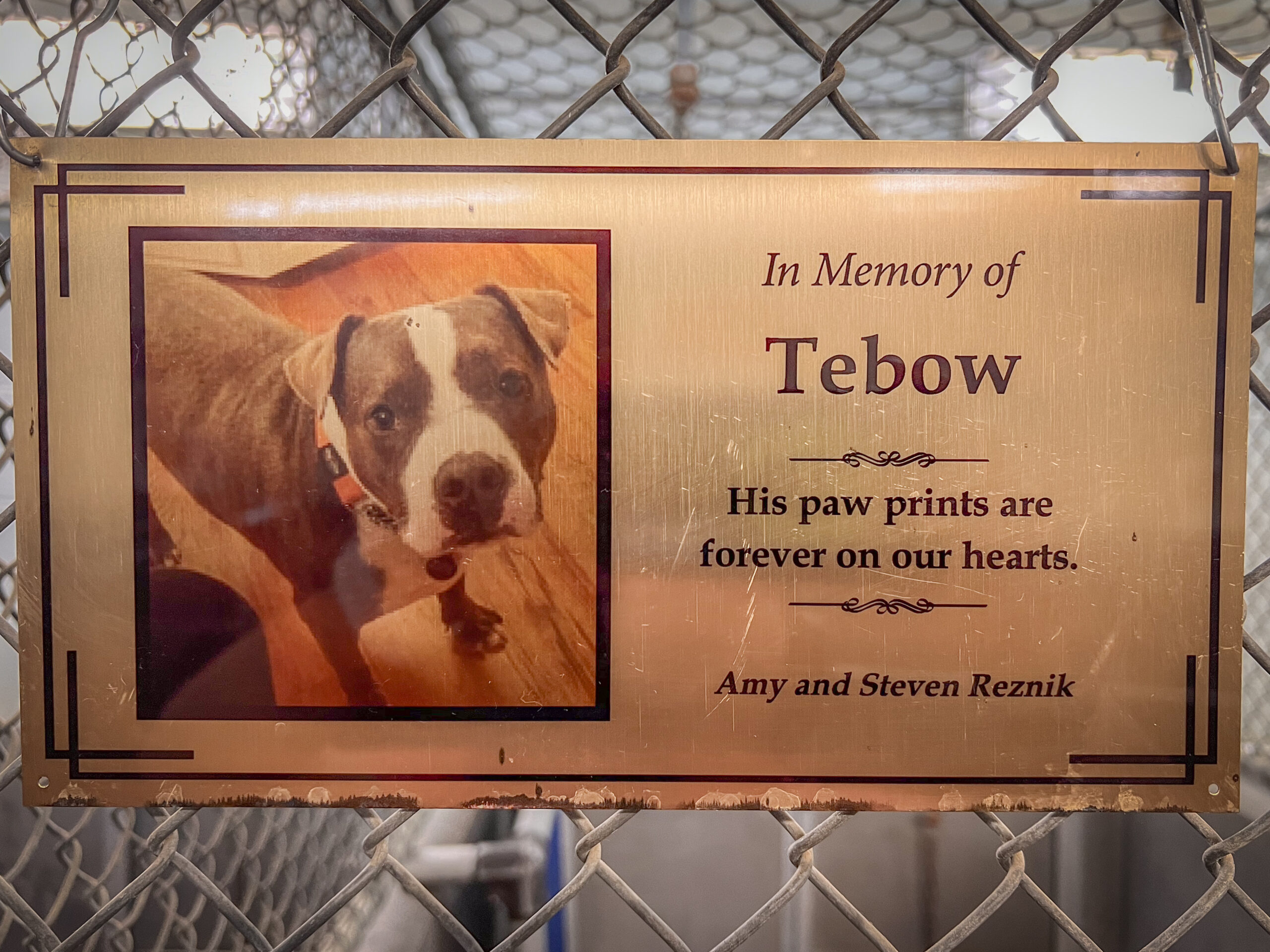 Lifetime Kennel Plaques - Animal Shelter Foundation