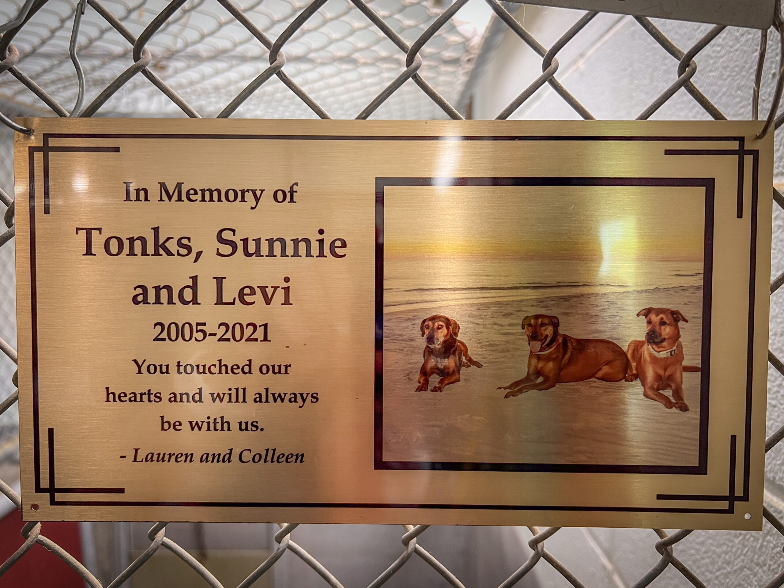 Lifetime Kennel Plaques - Animal Shelter Foundation