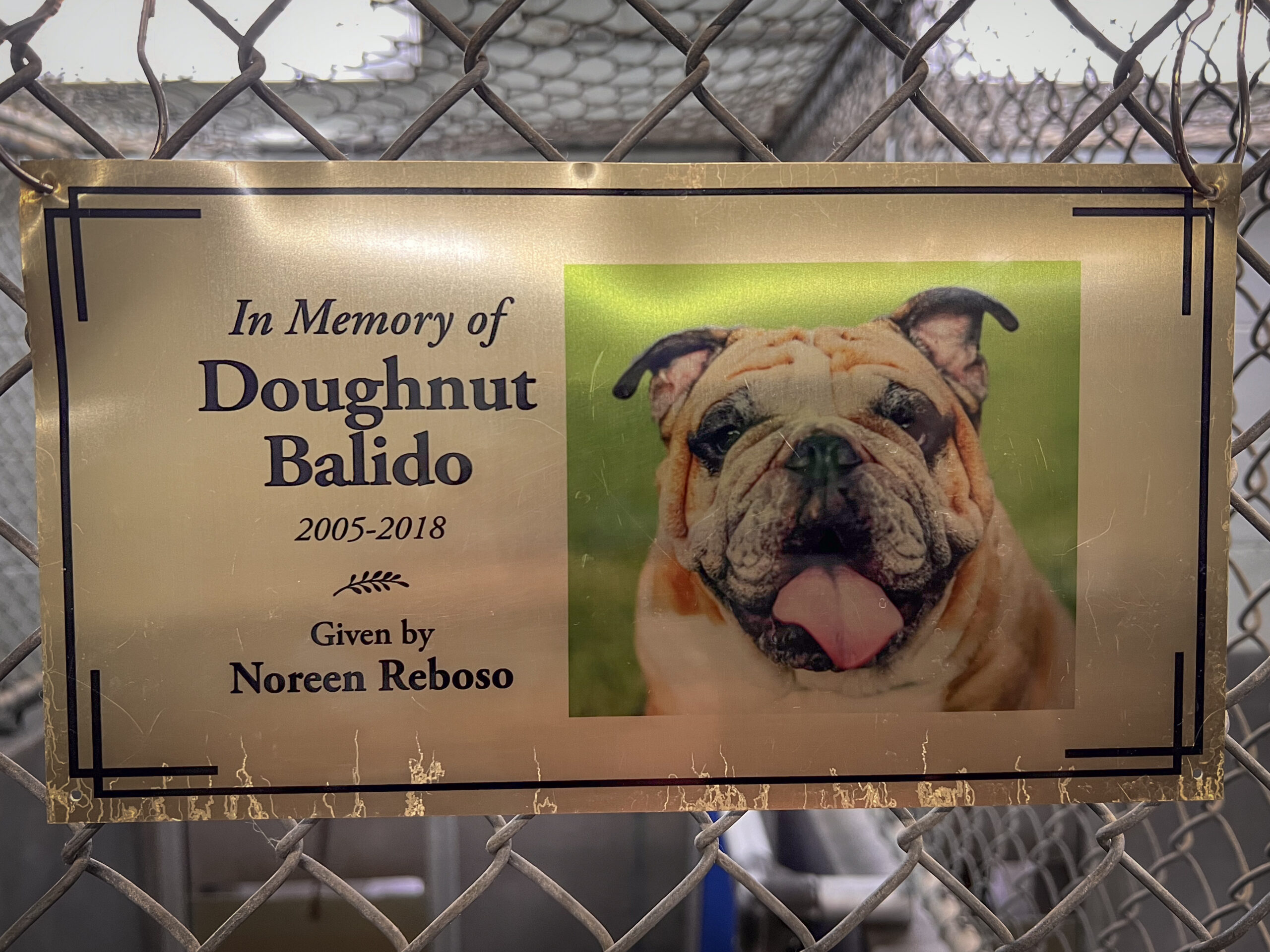 Lifetime Kennel Plaques - Animal Shelter Foundation